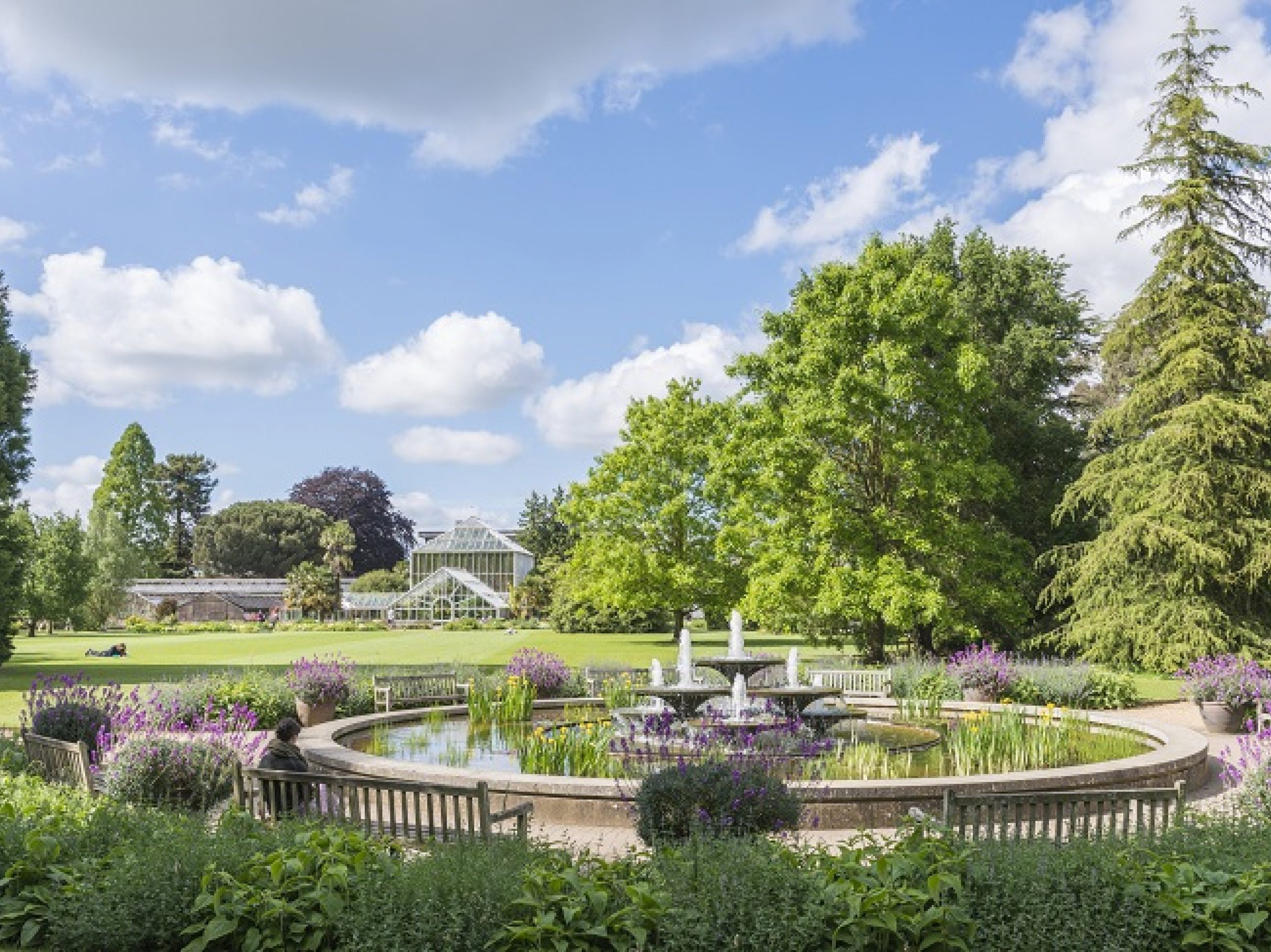 The Rising Path — CDC Studio